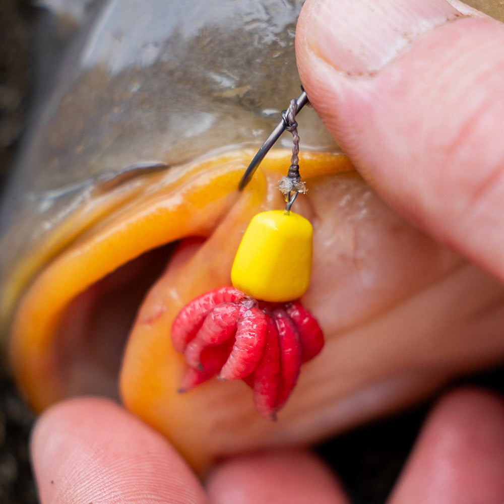 BAIT SPIKEZ – Atomic Tackle